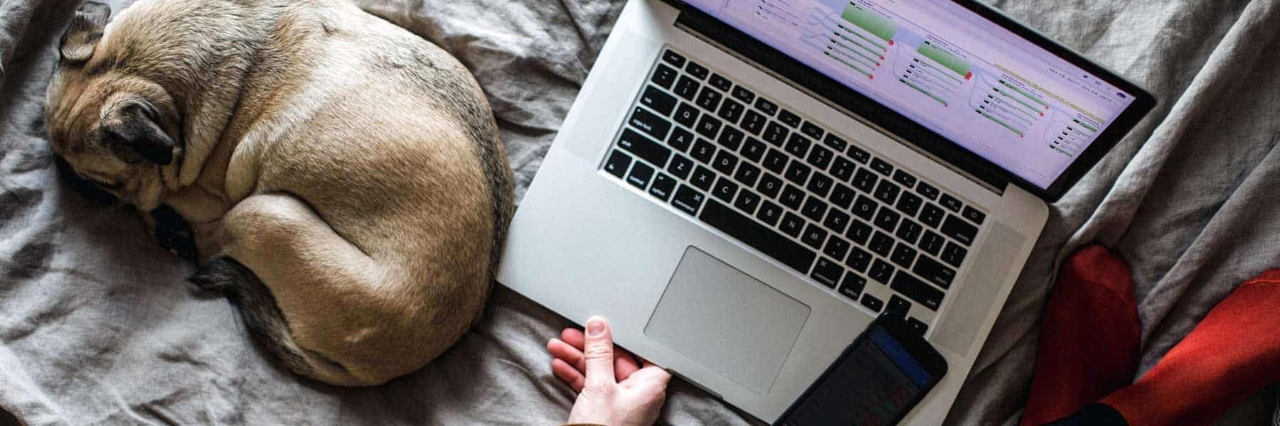 How much should I spend on a laptop repair?